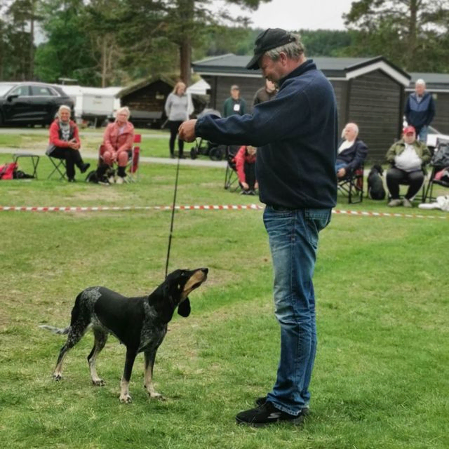 BILDER FRA LUZERNERSAMLINGA 2023