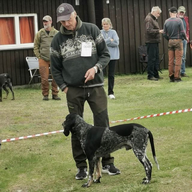 BILDER FRA LUZERNERSAMLINGA 2023